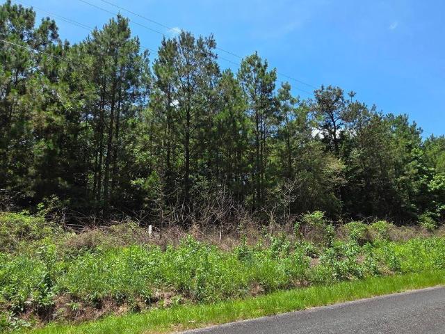 20 Acres Chestnut Ridge Road