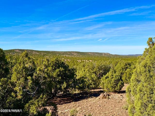 20 Acres Concho, AZ 85924 | MLS #6958 | Compass