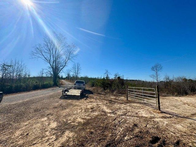 20 Acres Collier Rd, Golden, MS 38847