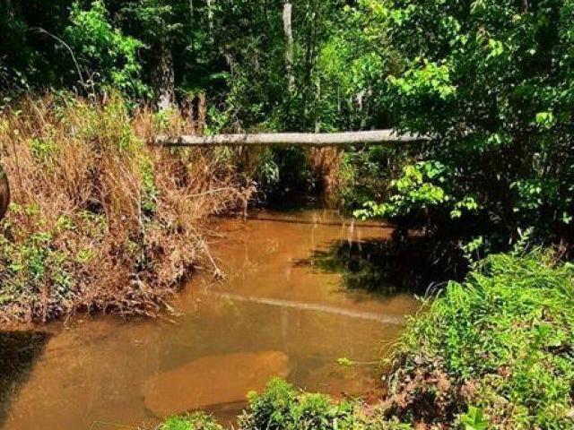 20 acres county road 123 # 0