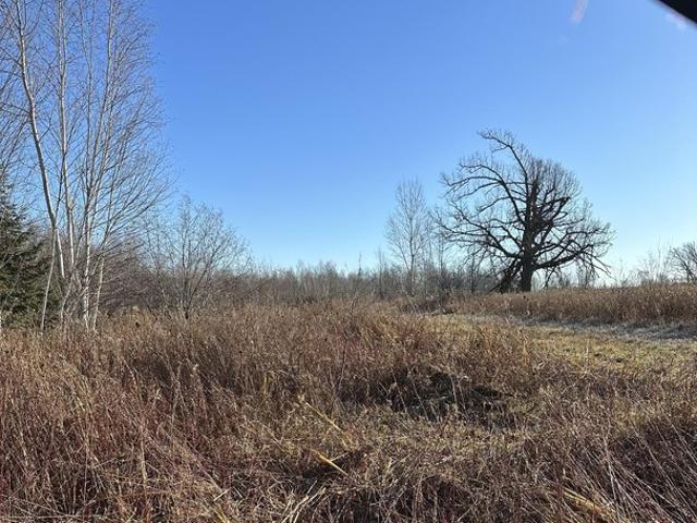 20 Acres Cloverland Rd, Conrath, WI 54731