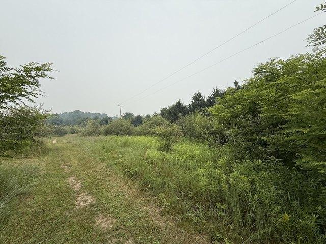 20 Acres E # M30, Alger, MI 48610