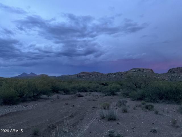20 Acres E Mud Springs Road # 5