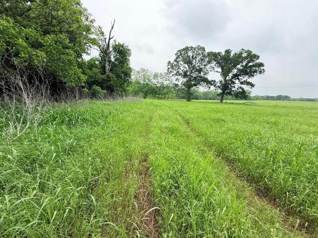 20 acres Gathings Ave, Covington, TX 76636 | MLS #21103