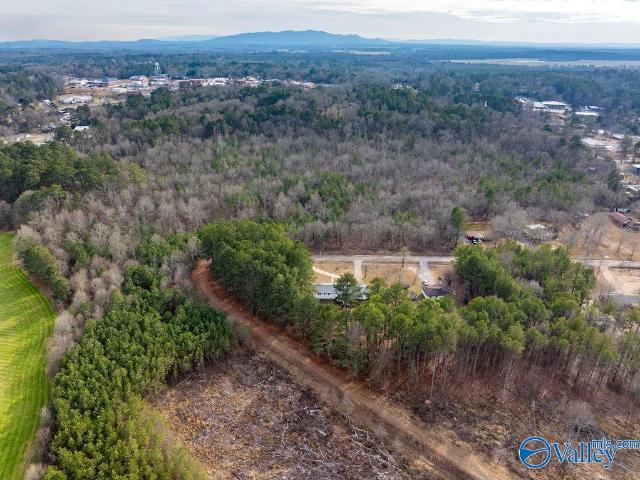 20 ACRES Hood Street