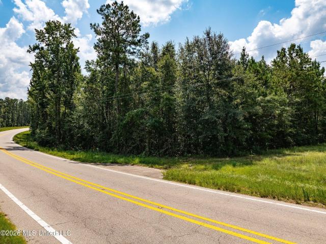 20 Acres Hwy 589