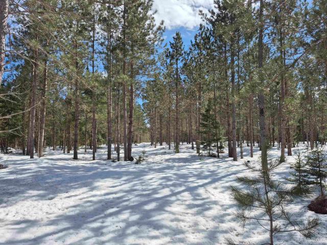 20 Acres off Flodin Road