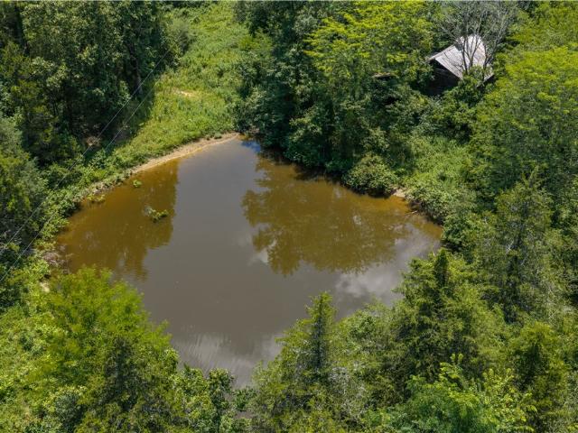 20 Acres Parks Road