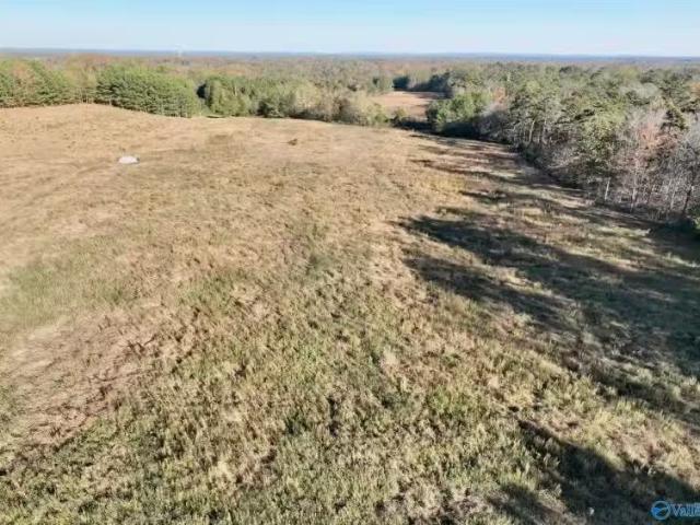 20+/ ACRES PLEASANT HILL CHURCH ROAD, BOAZ, AL 35956 Vacant L.