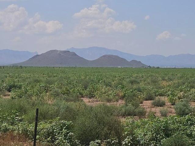 20 acres s robison road # 5