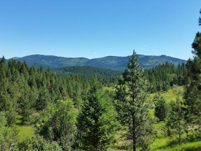 20 Acres S Starr Rd, Rockford, WA 99030