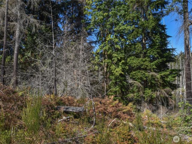 20 Acres SW Hunter Road