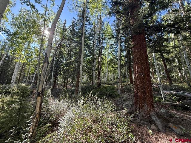 20 Alpine Vista Way, Lake City, CO 81235 | MLS #825299 | Compass