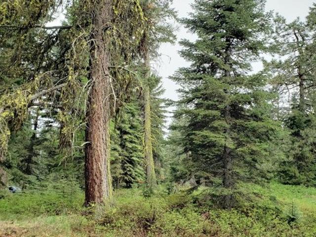 20 Andy Ln Unit 73, Donnelly, ID 83615
