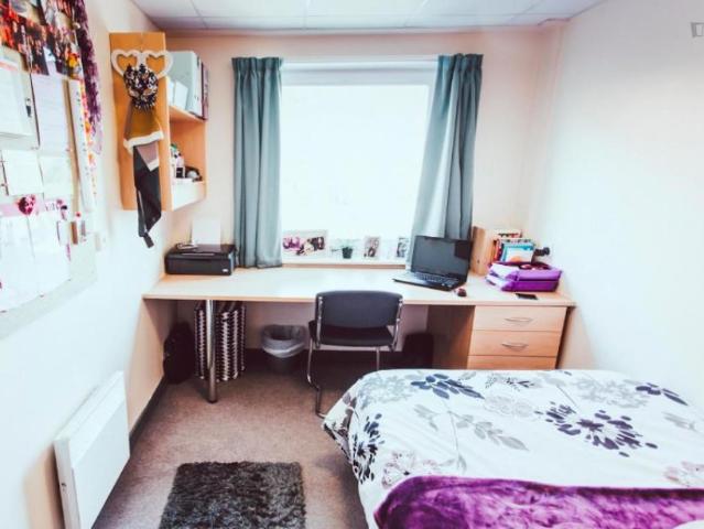 20 Bedroom Shared Living/roommate Lincoln Lincoln 90561377