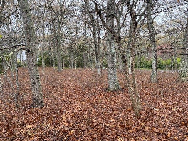 20 Central Ave, East Hampton, NY 11937