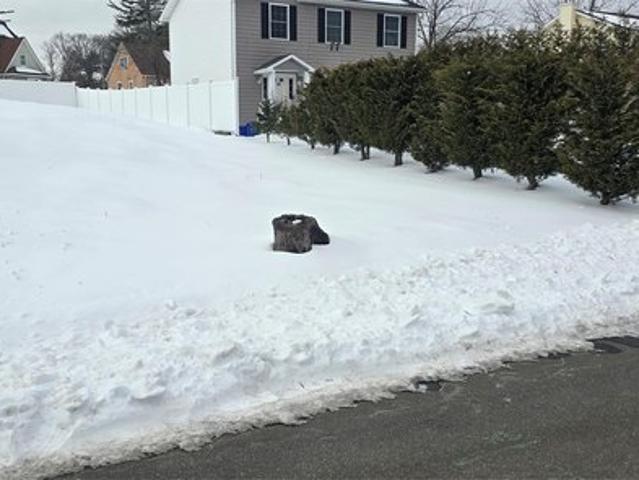 20 Chestnut St, Wyandanch, NY 11798