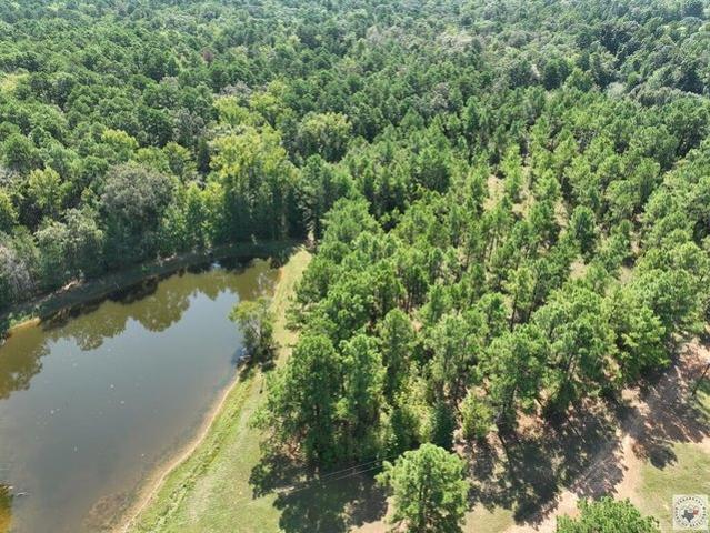 20 County Road 1766, Jefferson, TX 75657
