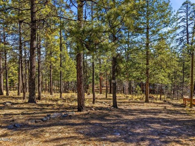 20 County Road 2067 Unit 114, Alpine, AZ 85920