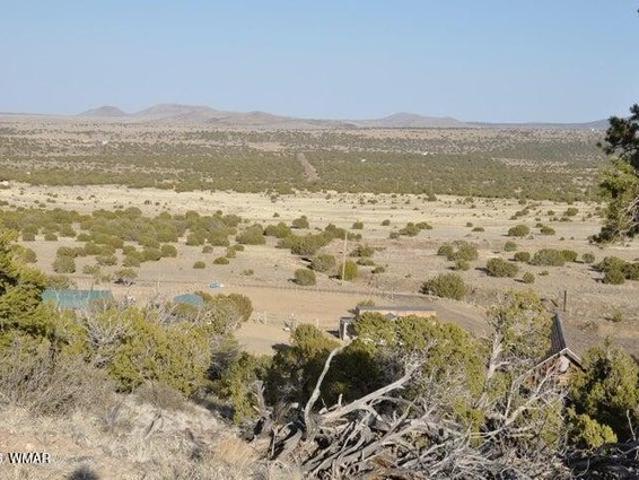 20 County Road 3044, Concho, AZ 85924