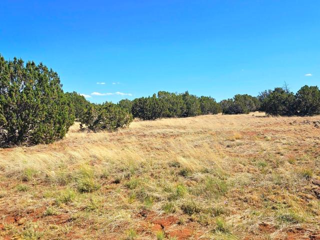20 County Rd, Concho, AZ 85924 | MLS #258523