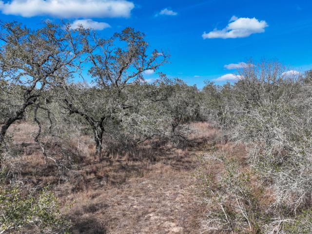 20 Clear Lake Loop, Poteet, TX 78065 | MLS #1937 | Compass