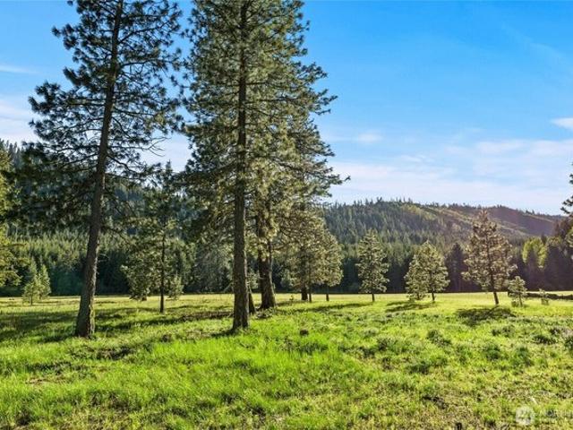 20 Domerie Park Loop Lot 20, Cle Elum, WA 98922