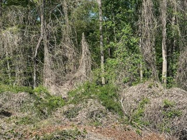 20 Dr Lot Deborah, Lynchburg, VA 24502