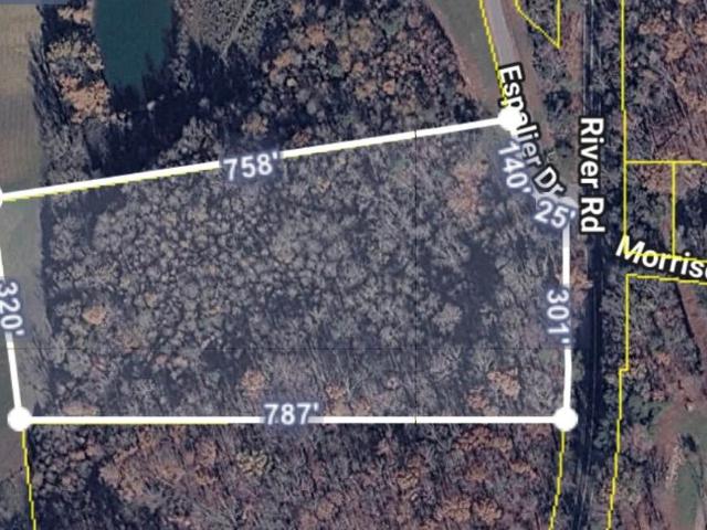 20 Espalier Drive