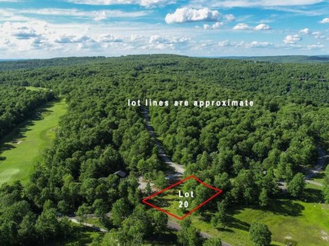 20 Fern Loop, McHenry, MD 21541