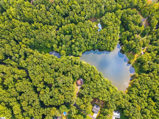 20 Forest Drive