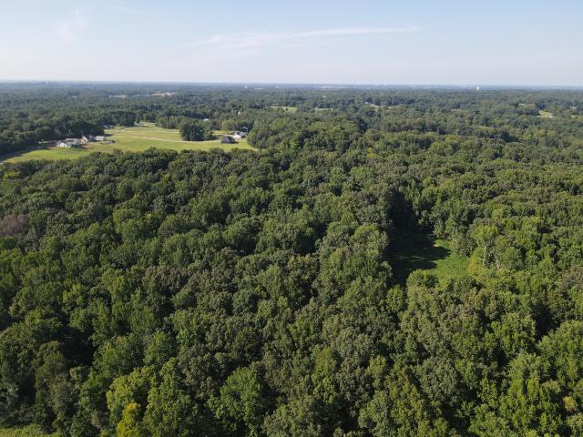 20 Gholson Rd