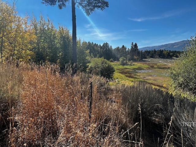 20 Gold Fork, Donnelly, ID 83615 | MLS #98957