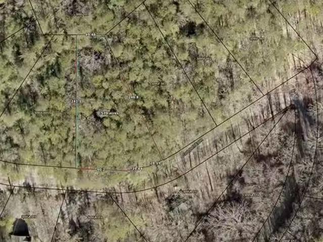 20 Goldmine Dr, Ellijay, GA 30536 MLS 7397572