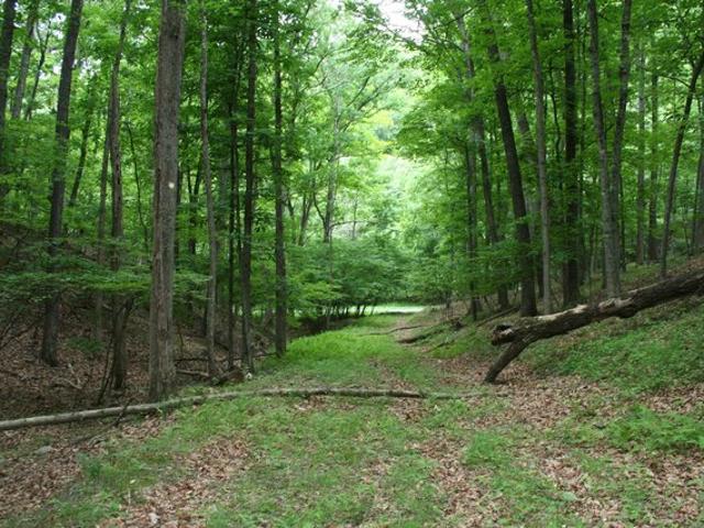20 High Vly S Lot 20V, Monterey, VA 24465