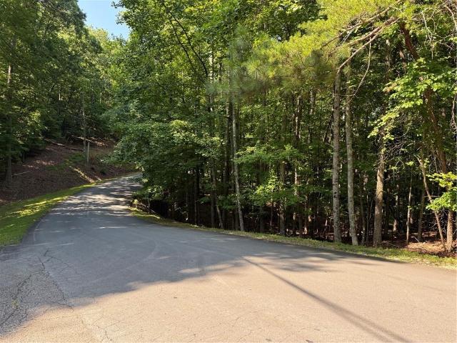 20 Hillside Drive