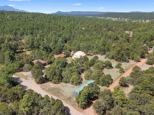 20 Hummingbird, Tijeras, US, NM