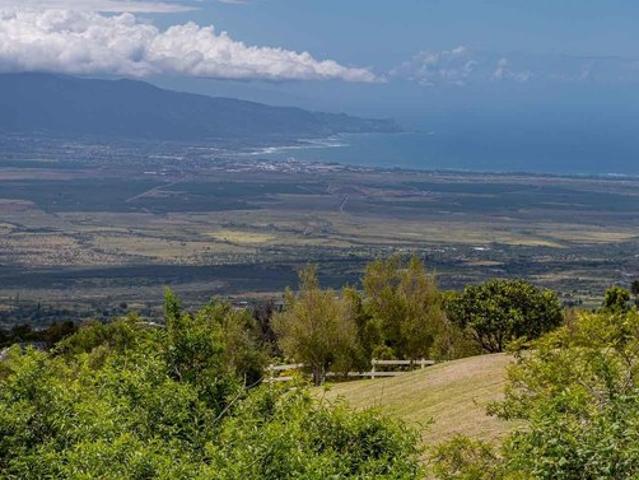 20 Kuulani St, Kula, HI 96768