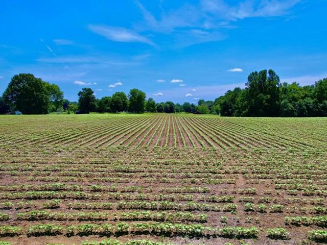 20 Lambs Ferry Rd, Leoma, TN 38468