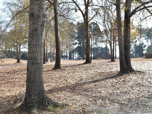 20 Lake Arbu Drive