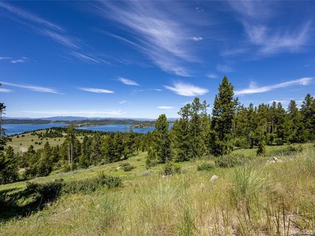 20 Moose Track Ln, Anaconda, MT 59711