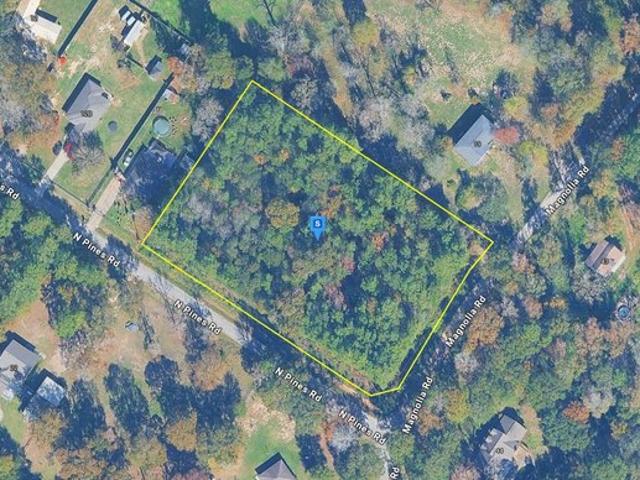 20 N Pines Rd, New Caney, TX 77357