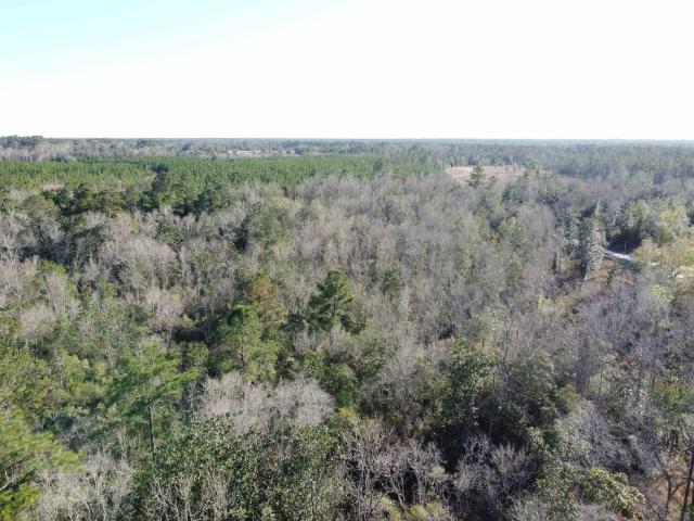 20 NE St Hosford, FL 32334 | MLS #396914 | Compass
