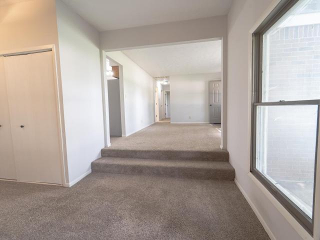 20 Newsom Lane