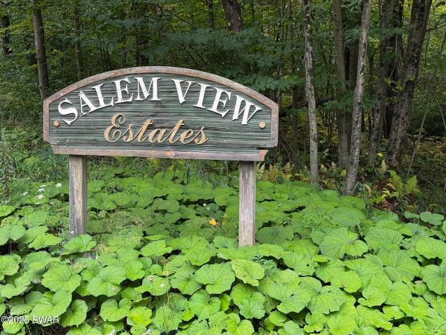 20 Oak Lane