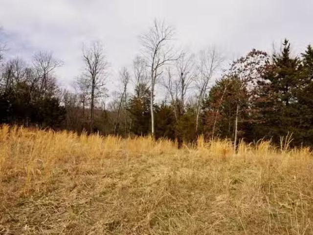 20 OAKRIDGE DR, GEPP, AR 72538 Vacant Land For Sale MLS# 130844