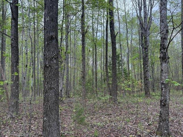 20 S Constitution Rte Lot 5, Dillwyn, VA 23936