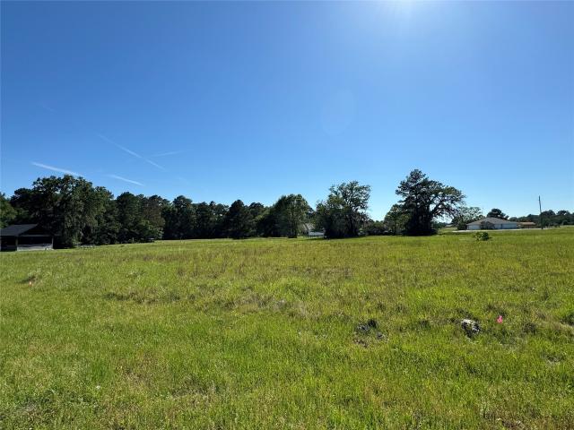 20 Sandy Springs, Trinity, TX 75862 | MLS #47699 | Compass