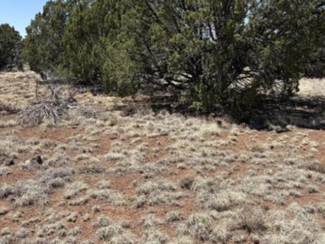 20 SE 8715 Hwy, Concho, AZ 85924