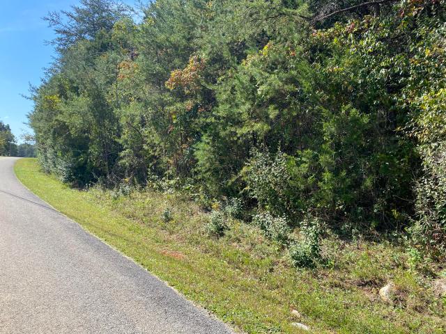 20C Lake Forest Reserve Drive